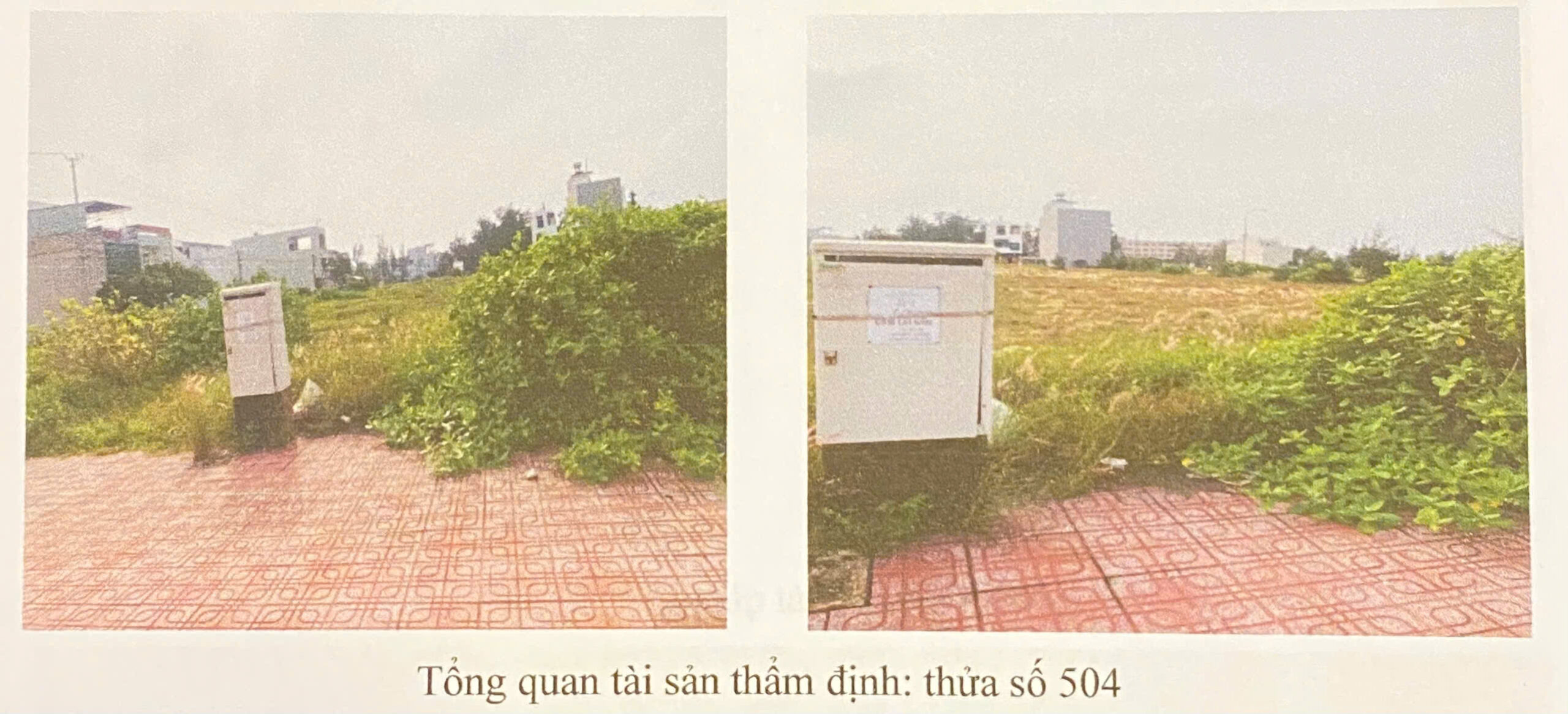 THÔNG BÁO SỐ 37 LÔ L-C02-BÌNH KIẾN - daugiaviettin